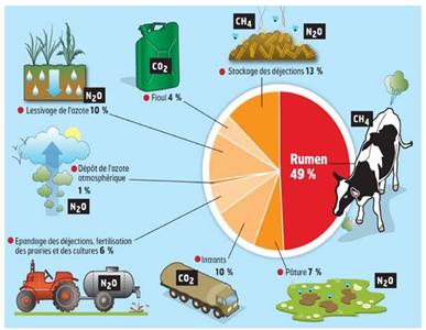 Retour sur la vache à hublot