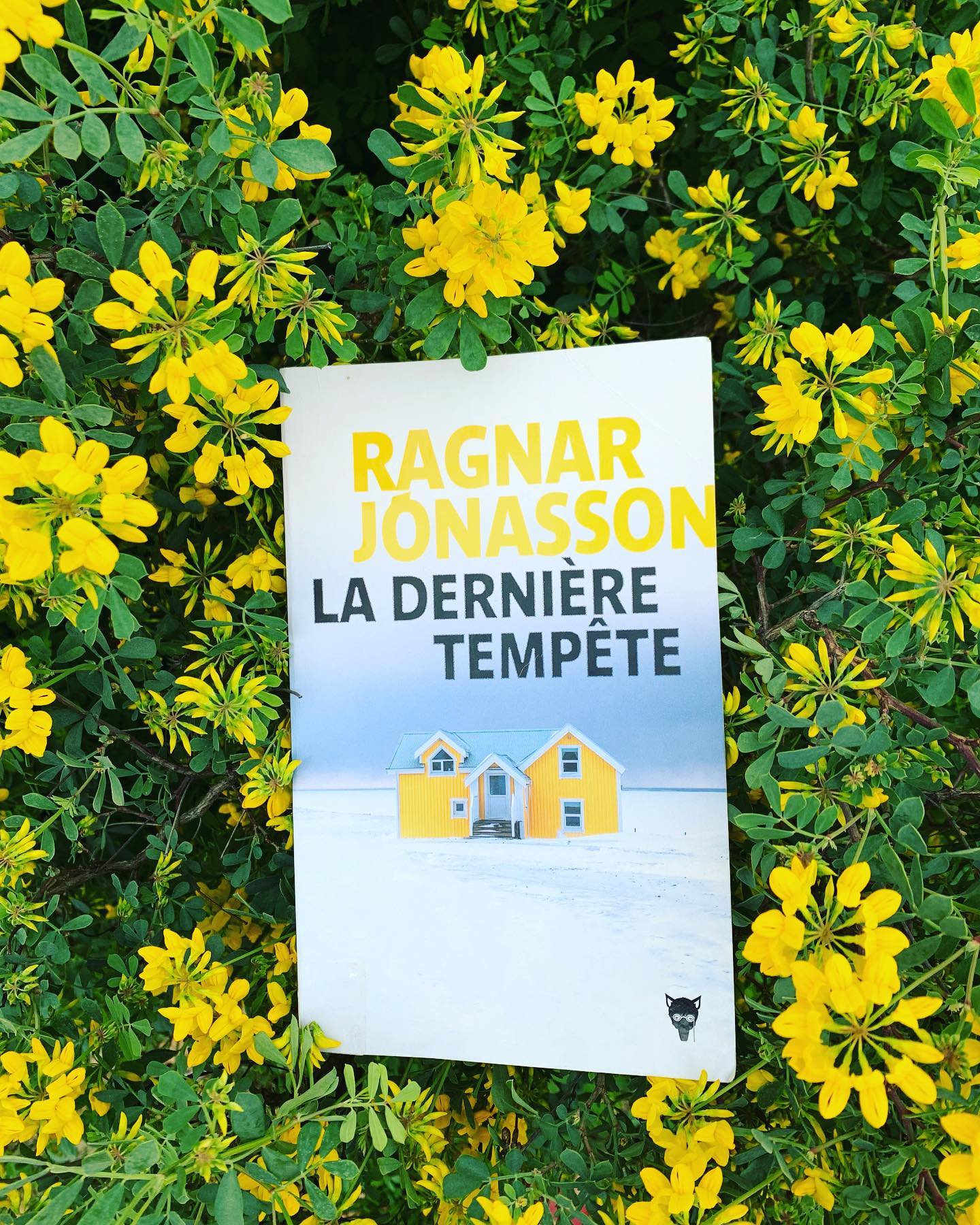 La trilogie de Ragnar Jonasson